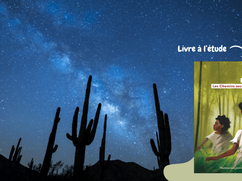 La Bibliomaniaque | Rendre la lecture accessible et agréable dans sa ...